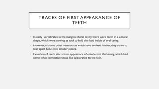 Evolution of teeth in vertebrates | PPTX