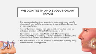 Evolution of teeth in vertebrates | PPTX