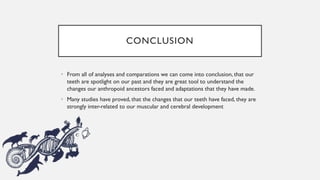 Evolution of teeth in vertebrates | PPTX