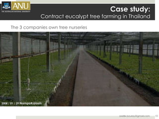 Contract tree farming and smallholders: Drivers of adoption in Thailand ...