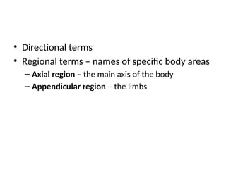 Introduction of anatomy AXE, PLANURI.pptx