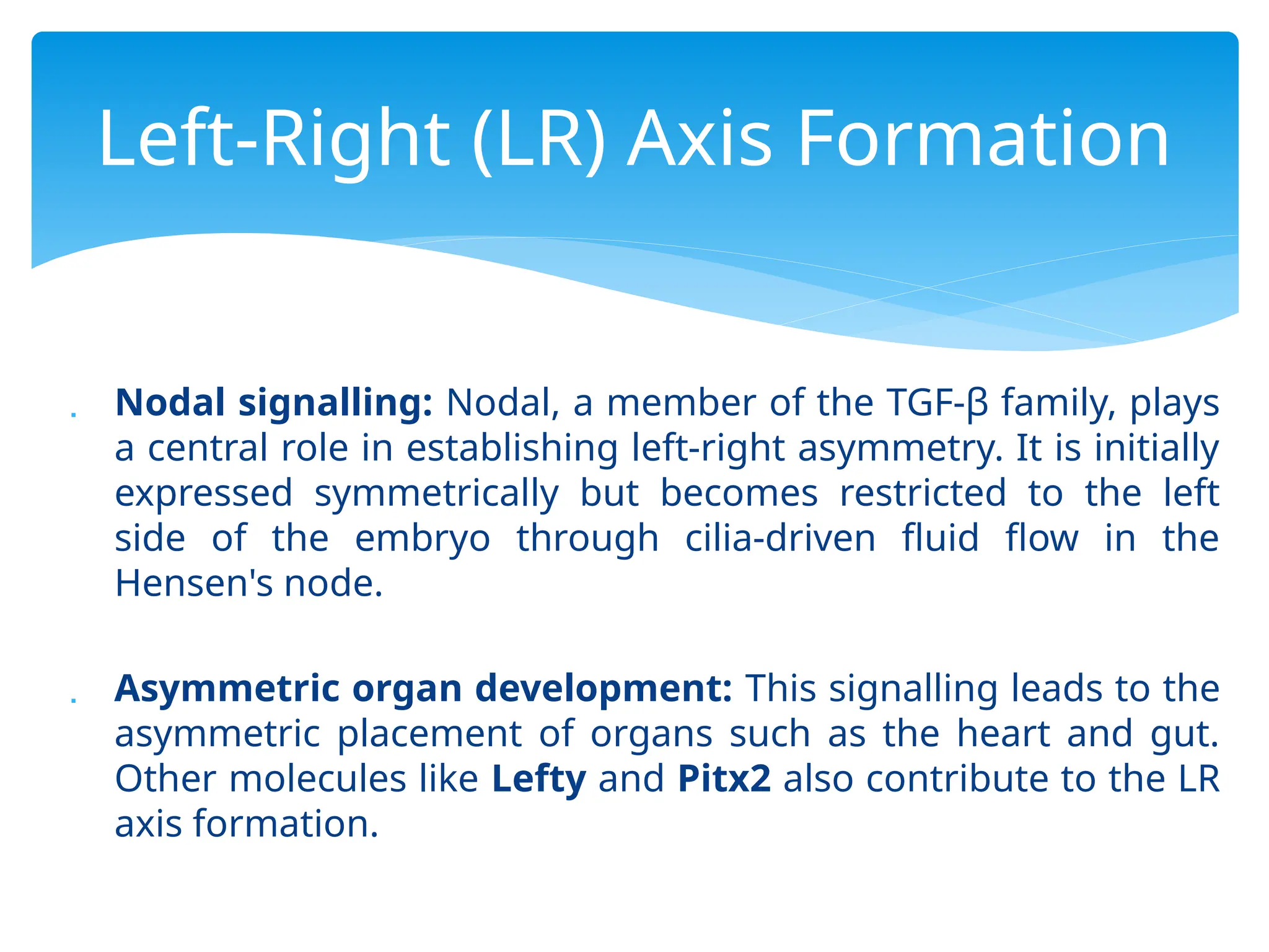 Axes and pattern formation in Chick.pptx