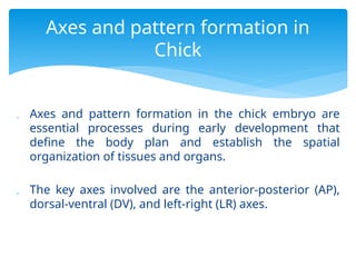 Axes and pattern formation in Chick.pptx