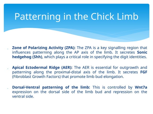 Axes and pattern formation in Chick.pptx