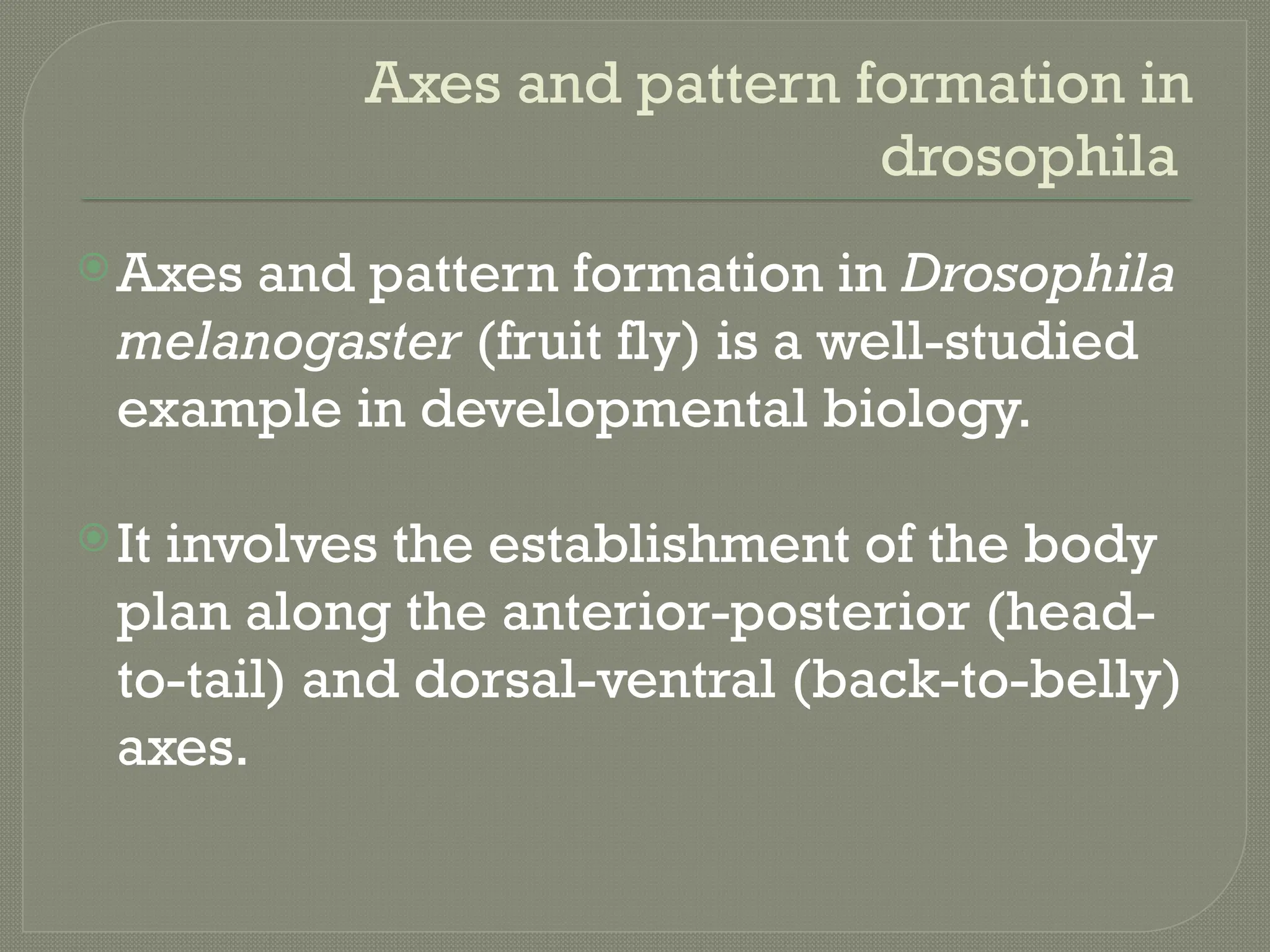 Axes and pattern formation in drosophila.pptx