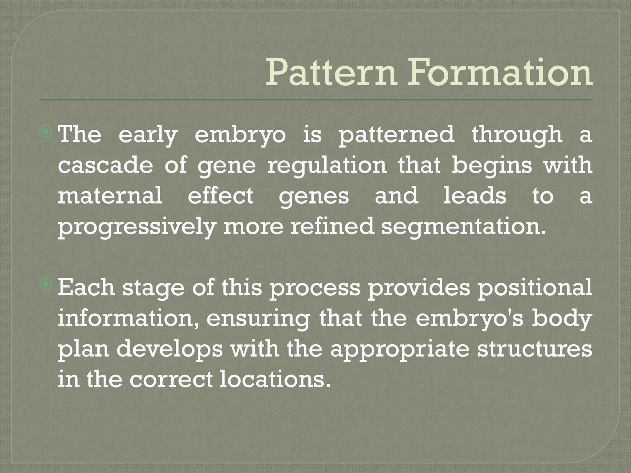 Axes and pattern formation in drosophila.pptx