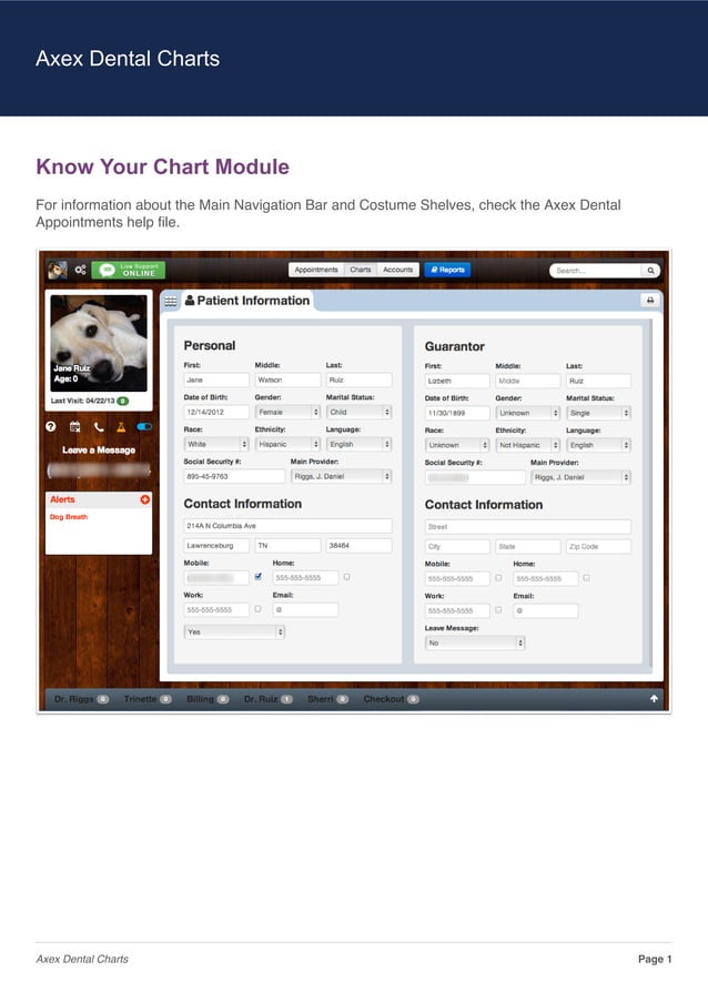 Axex Dental Practice Management System Manual (v.1.0) | PDF
