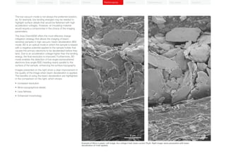 axia-chemisem-brochure-br0121.pdf