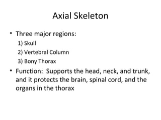 Axial skeleton | PPT