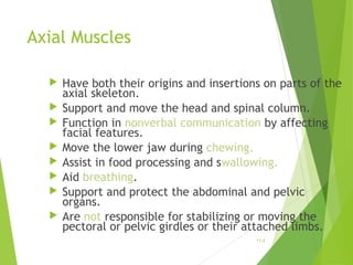 Axial muscles | PPT