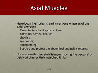 Axial Muscles | PPT