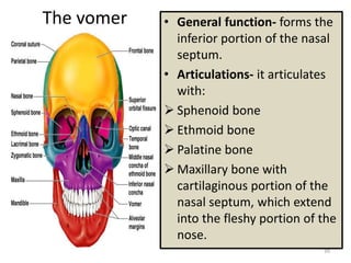 Axial skeletal | PPTX