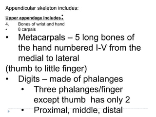 Axial skeleton | PPTX