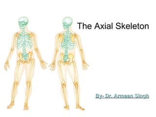 Axial Skeleton