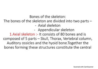 Axial skeleton | PDF