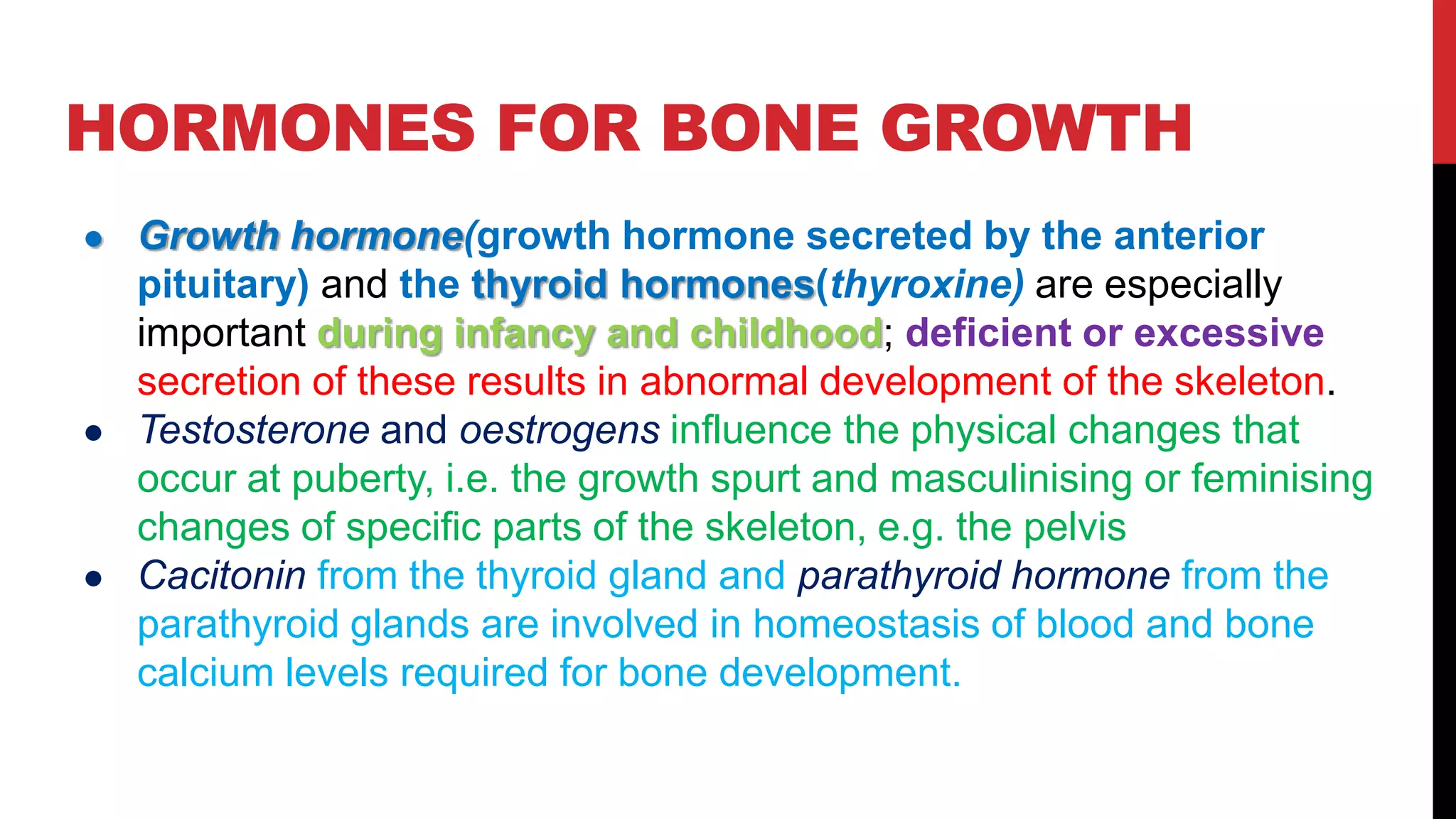 Axial skeleton ANATOMY AND PHYSIOLOGY | PPTX