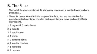 Axial Skeleton, Skeletal system, Types of bone | PPTX