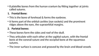 Axial Skeleton, Skeletal system, Types of bone | PPTX