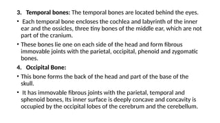 Axial Skeleton, Skeletal system, Types of bone | PPTX