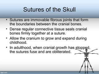 Axial Skeleton | PPT
