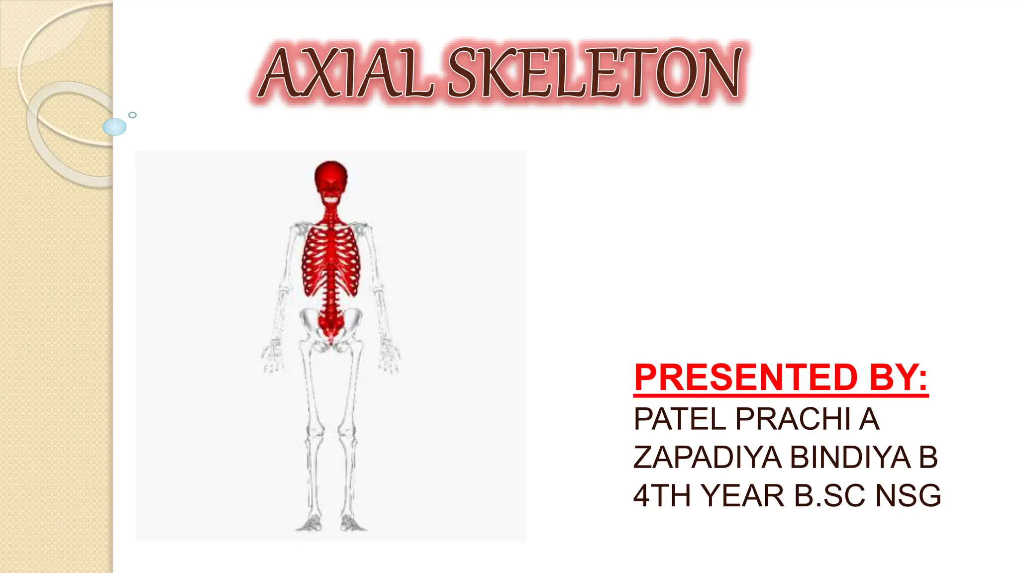 AXIAL SKELETON PPT by 4th year bsc nursing | PPT