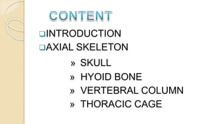 AXIAL SKELETON PPT by 4th year bsc nursing | PPT