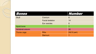 AXIAL SKELETON PPT by 4th year bsc nursing | PPT