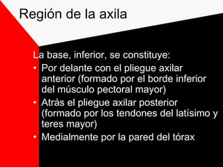 Axila y glándula mamaria | PPT