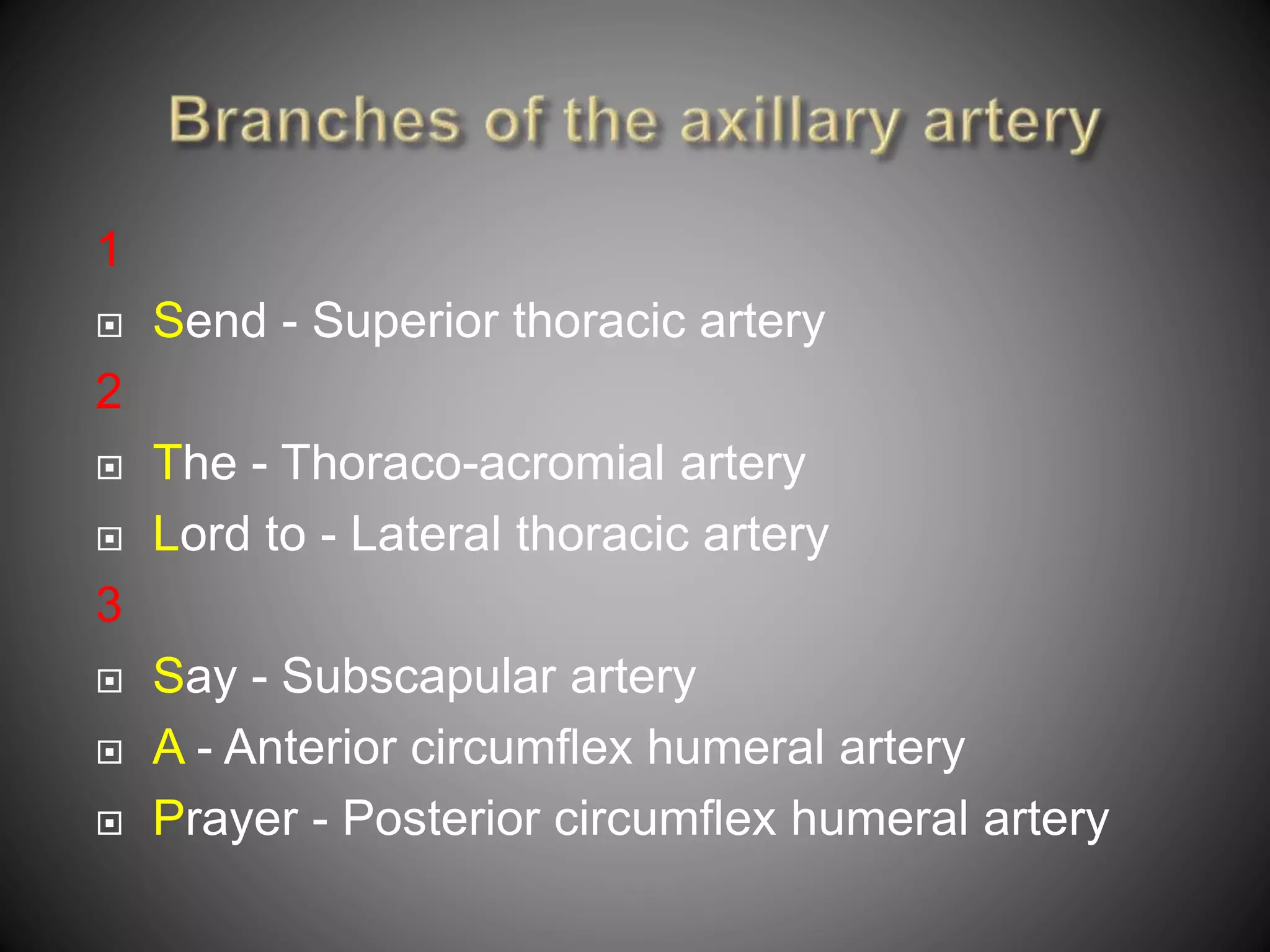 Anatomy of Axilla | PPTX