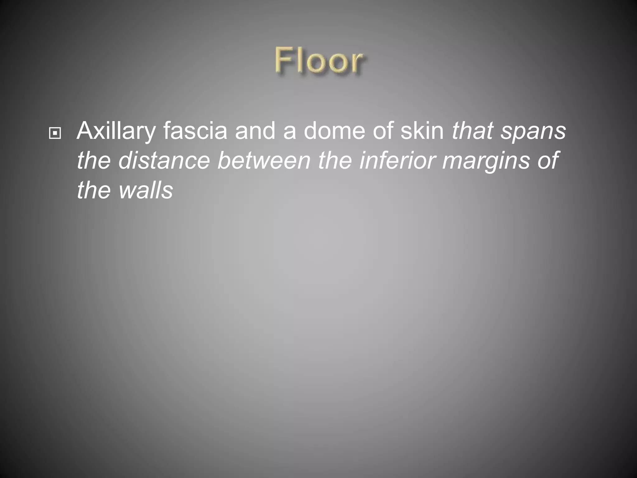 Anatomy of Axilla | PPTX