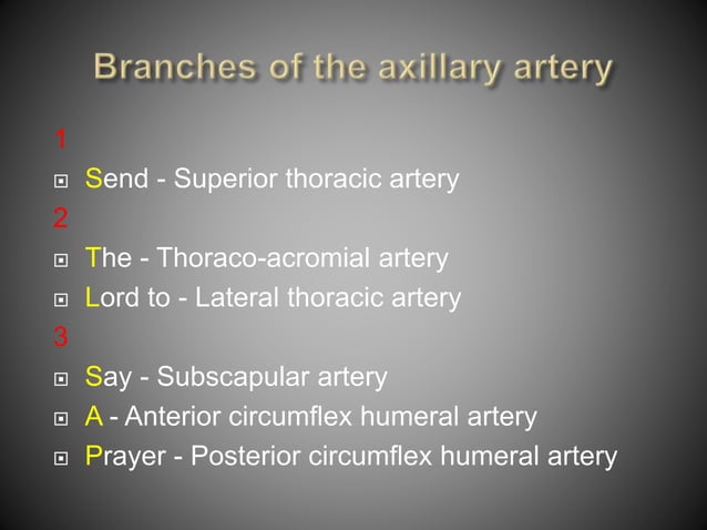 Anatomy of Axilla | PPTX