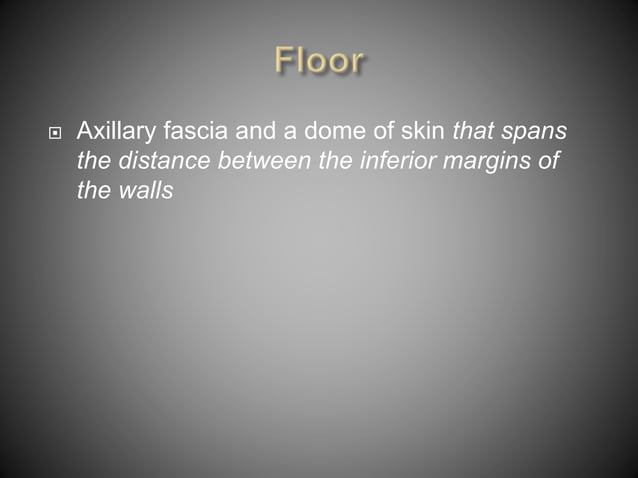 Anatomy of Axilla | PPTX