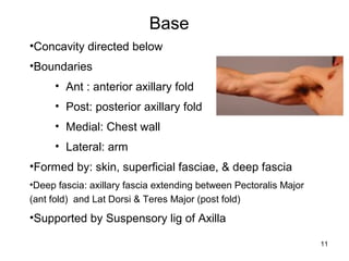 Posterior Axillary Fold