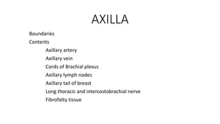 Axilla | PPTX