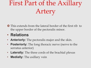 Axilla | PPT