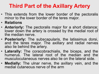 Axilla | PPT