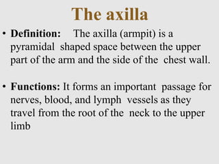 Axilla | PPT