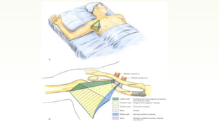 Axilla anatomy | PPTX