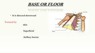 Axilla anatomy | PPTX