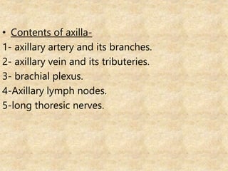 axilla.pptx