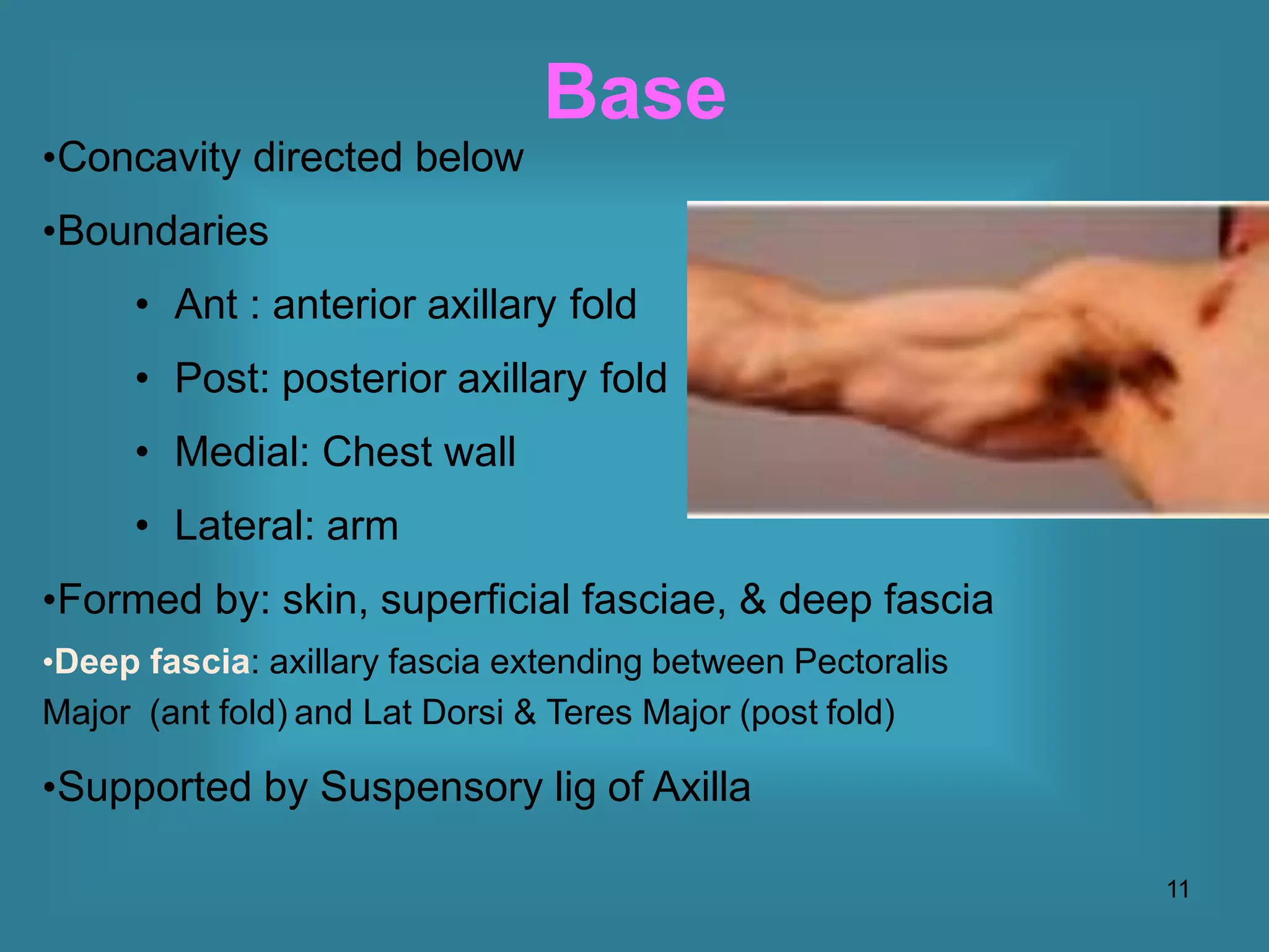 Axilla.pptx