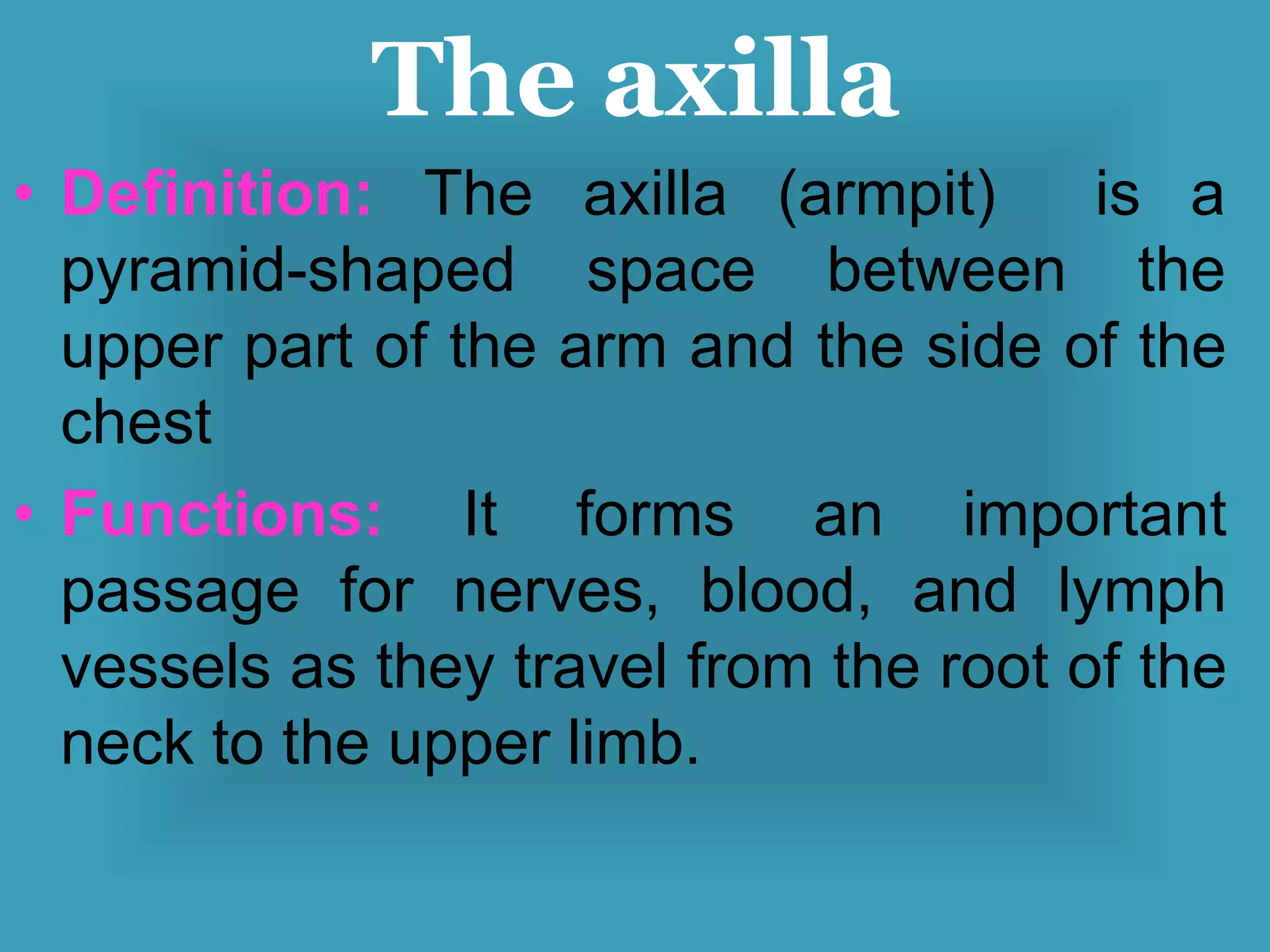 Axilla.pptx