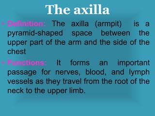 Axilla.pptx