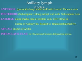 Axilla.pptx
