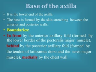 Axilla.pptx
