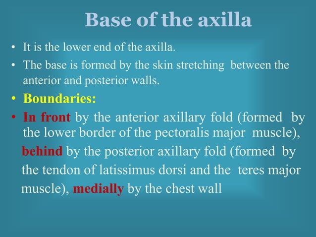 Axilla.pptx