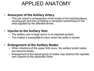 The Upper ggUpper limbs stuffAXILLA.pptx