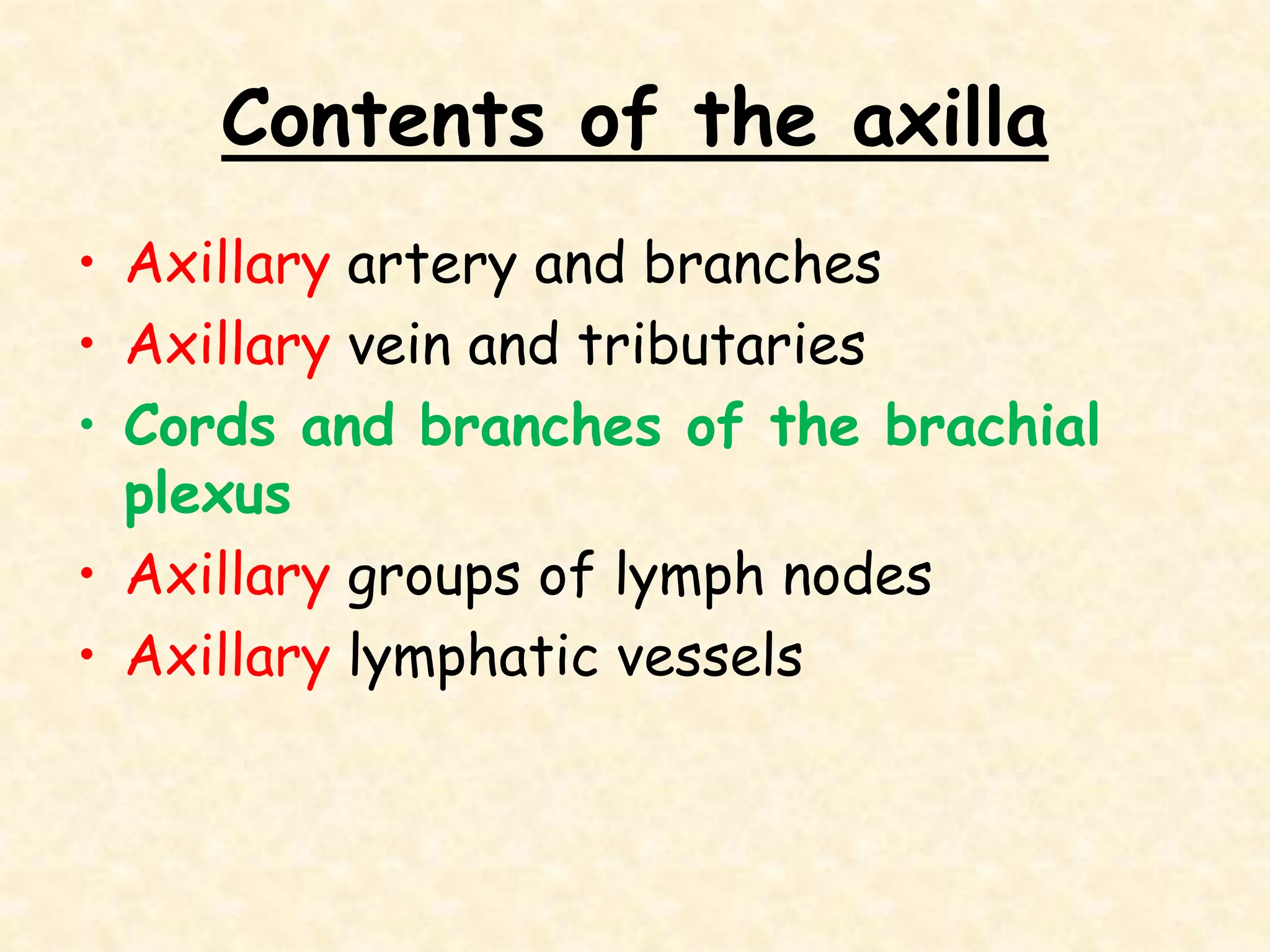 Axilla gross anatomy of human being in medicine | PPT
