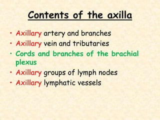 Axilla gross anatomy of human being in medicine | PPT