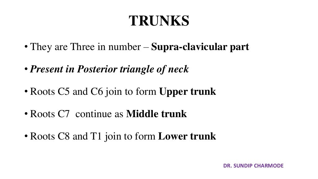 Axilla - 2 (Brachial plexus and clinical correlates).pptx